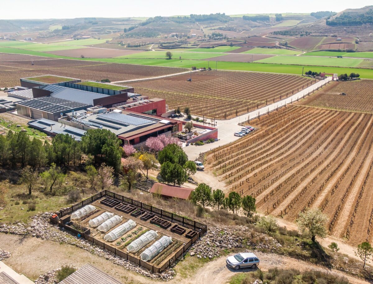 Nueva estrella verde Michelin 2023 para el Restaurante Ambivium
